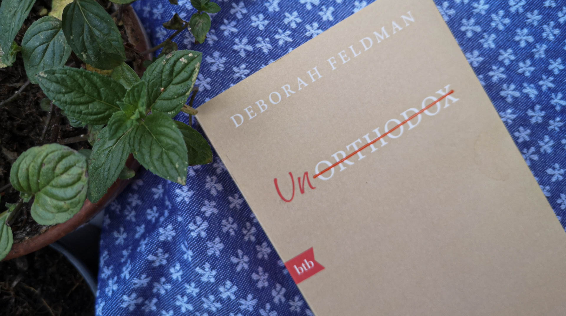 Deborah Feldman: Unorthodox - Rezension auf Sommerdiebe.de